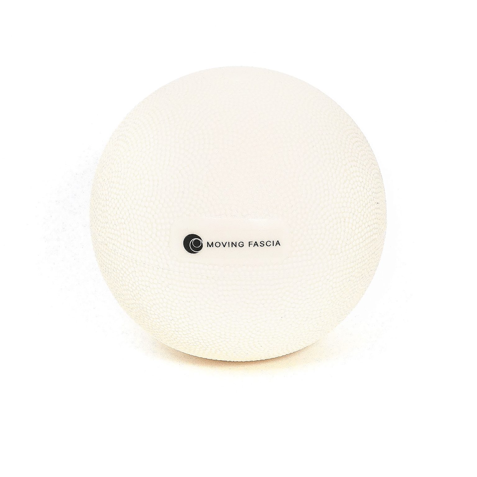 Course: Introducing the Magic of Fasciategrity In Practice: Keys to ...